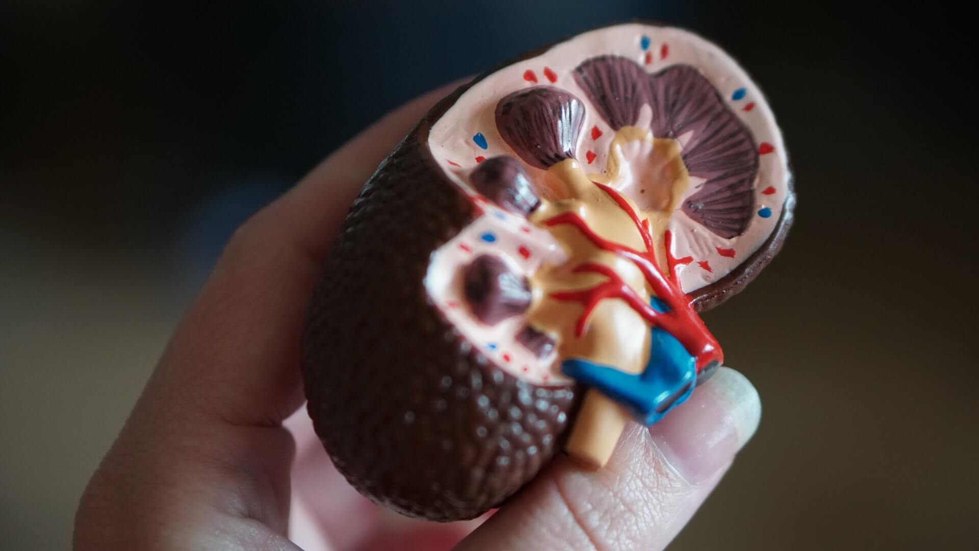 The Hidden Emotions That Cause Kidney Problems